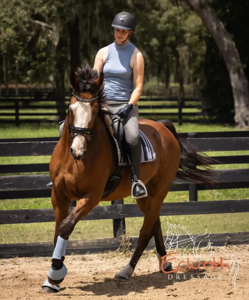 HALLSMILL AGA QUIX - Dressage Only